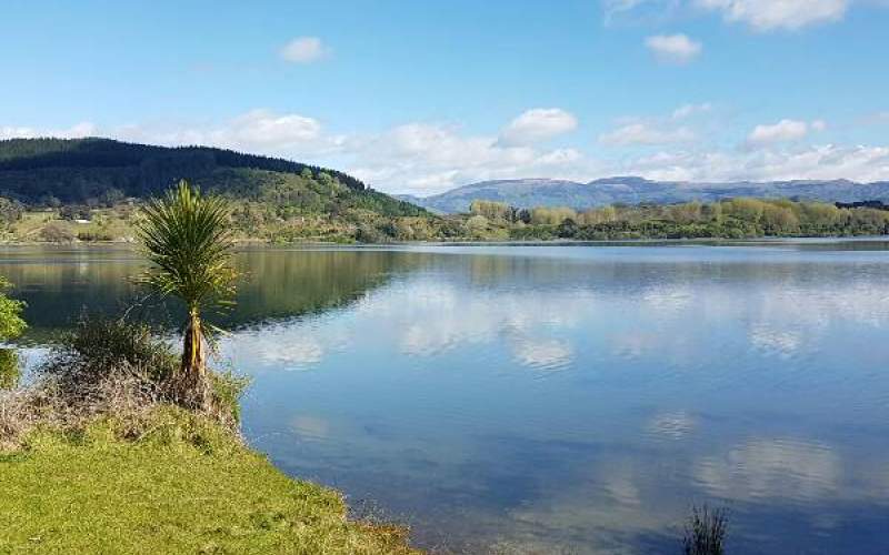 Lake Tutira Campsite | Freedom/Basic Camp | New Zealand